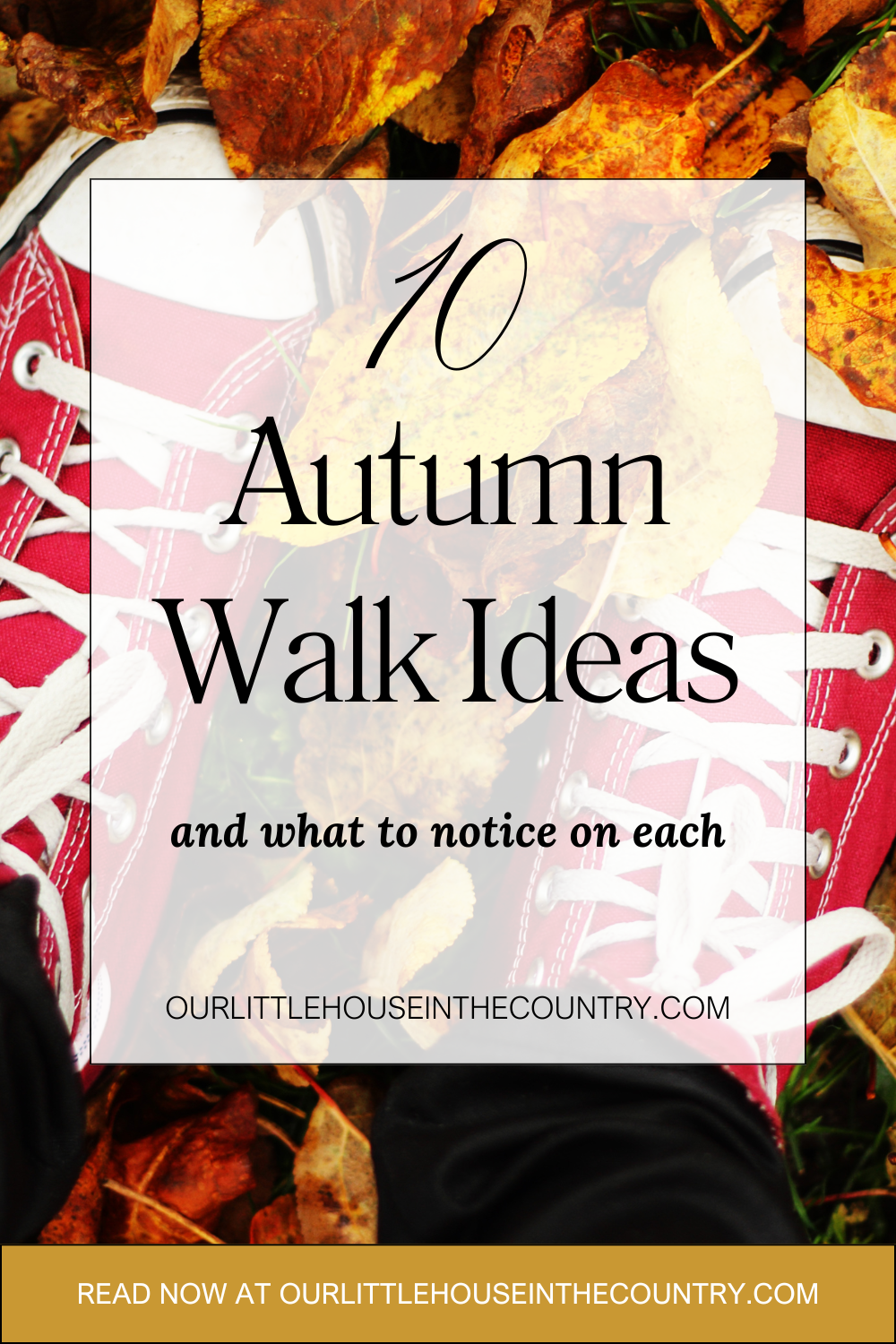 10 Autumn Walk Ideas (and What to Notice on Each) - Our Little House in ...