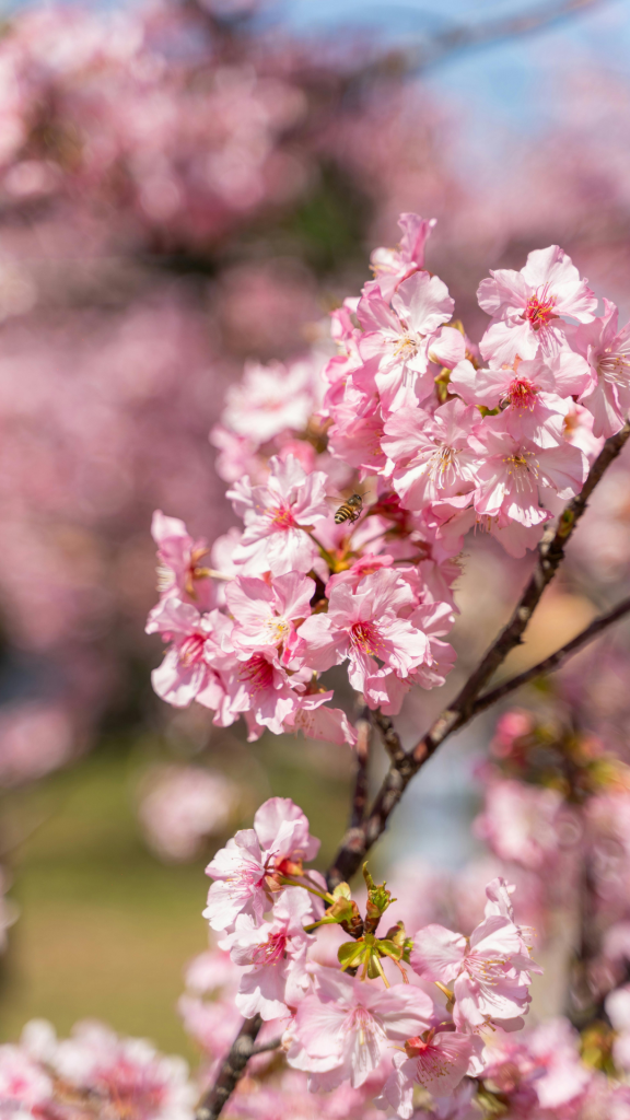 Our Little Friday Letter | Friday, 24 April 2026 - Our Little House in ...